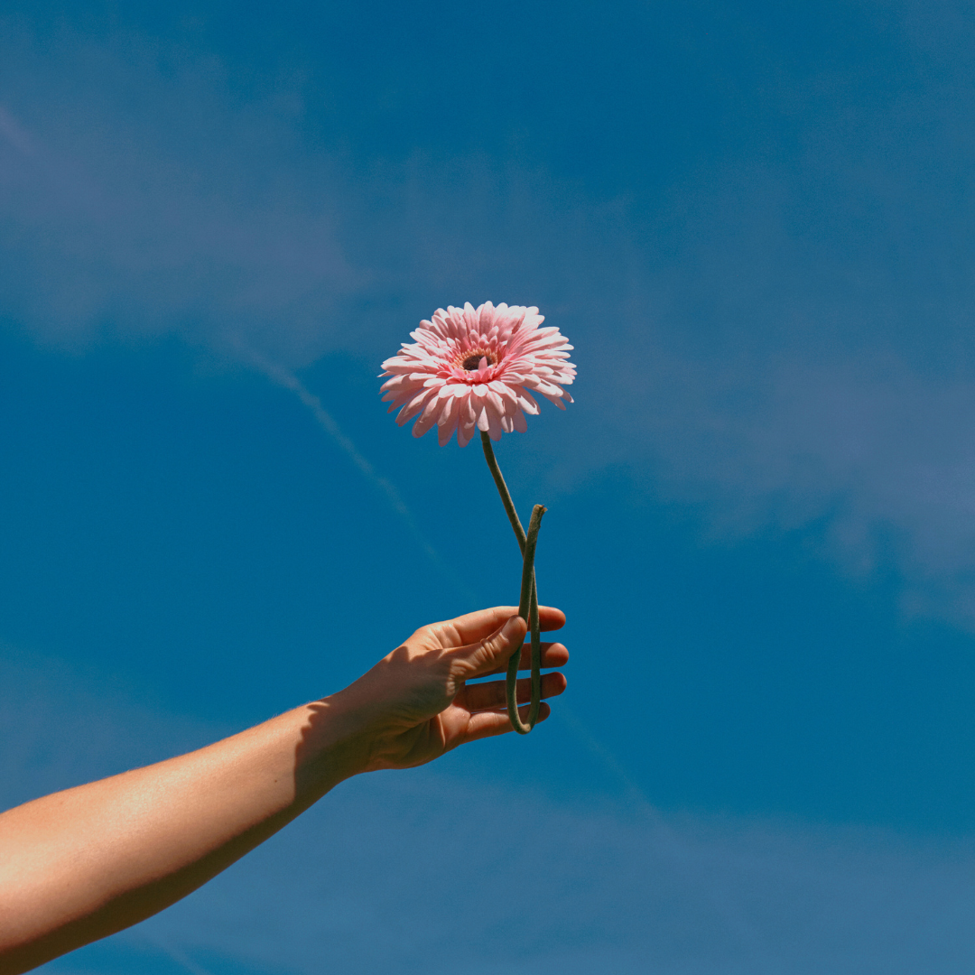 Do You Need A Pre-Pregnancy Detox? – ARTAH