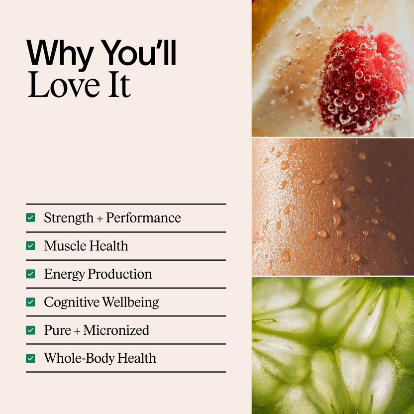 Creatine Supplement – Essential Creatine – ARTAH